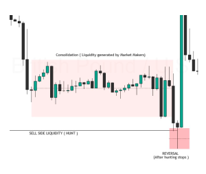 What is IPDA ICT? Interbank Price Delivery Algorithm - Inner Circle Traders